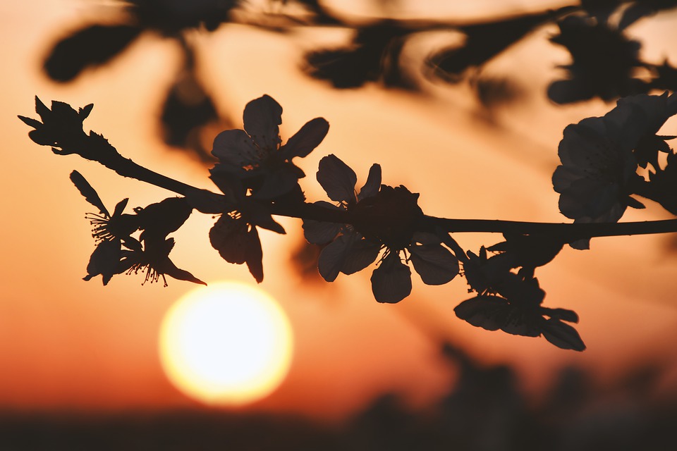 the resonance won… | Develop. Inspire. Transform.